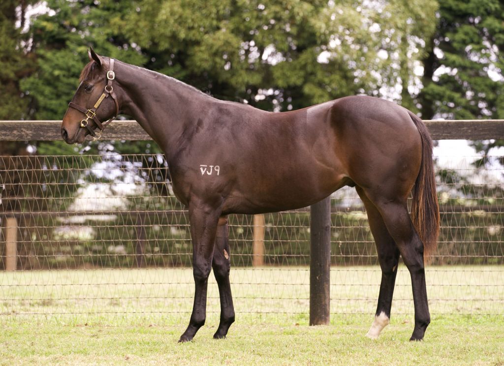 Lot 75 - Milburn Creek