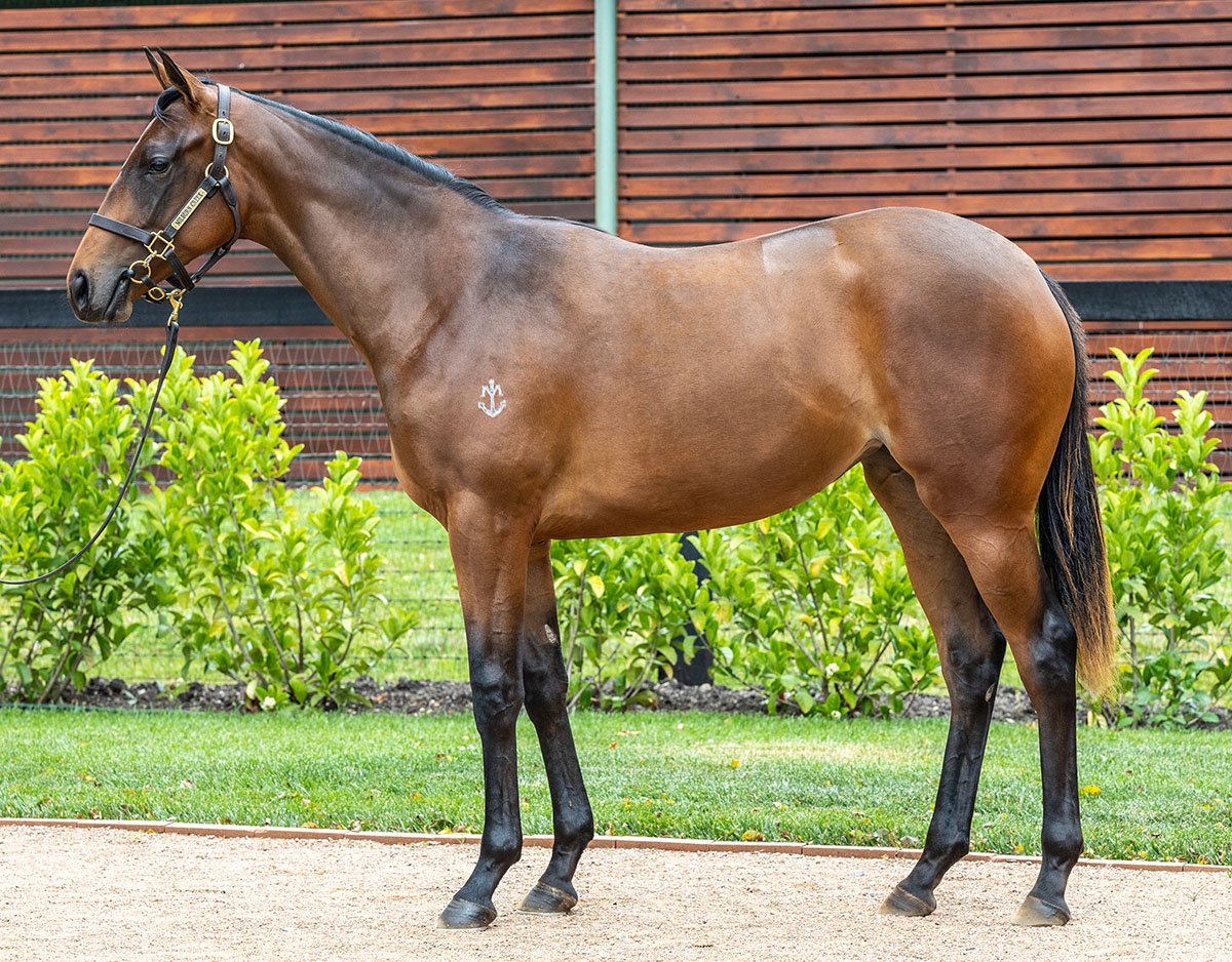 Lot 442 - Milburn Creek